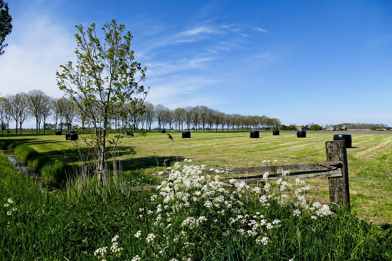 Landscape Fence Heaven - Free photo on Pixabay - Pixabay