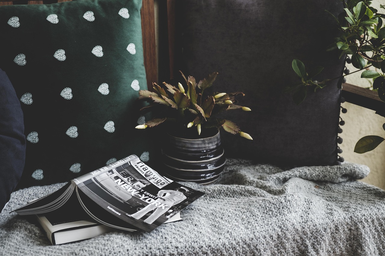 10,000+ Free Books Covers & Book Cover Images - Pixabay