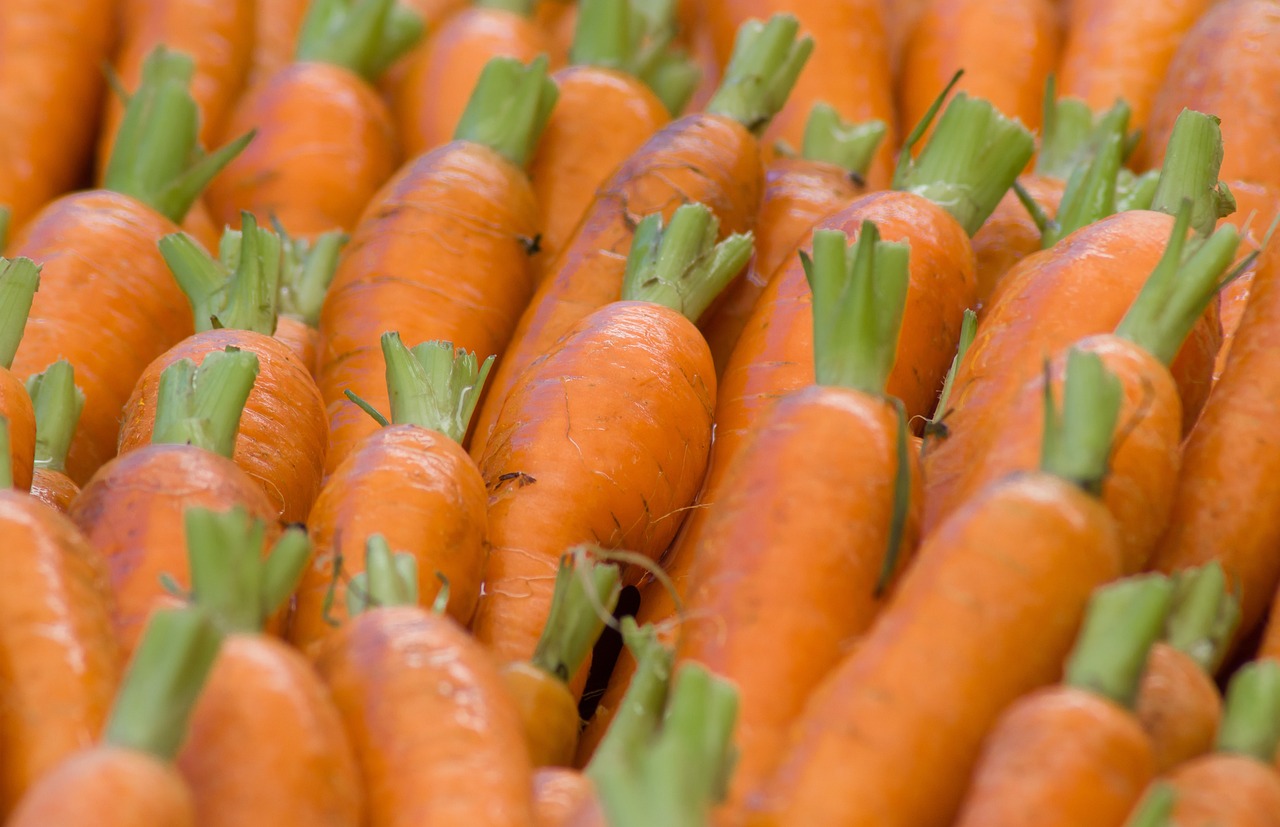 Carrots Garden Vegetable - Free photo on Pixabay - Pixabay