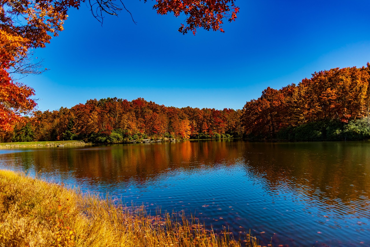 6,000+ Free West Virginia & Virginia Images - Pixabay