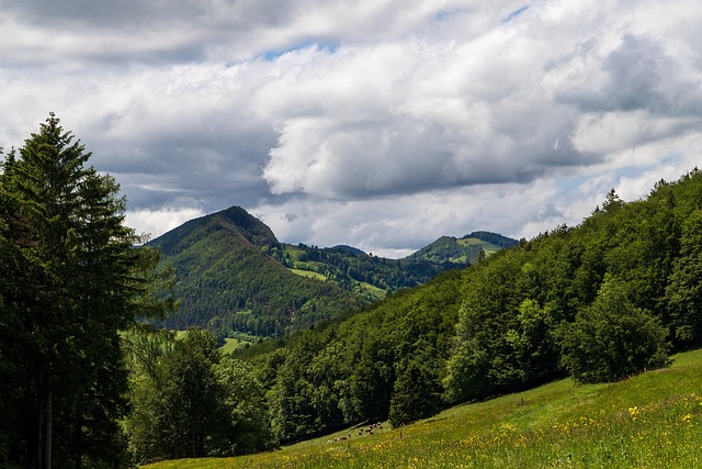 Langenbruck Hike Switzerland - Free photo on Pixabay