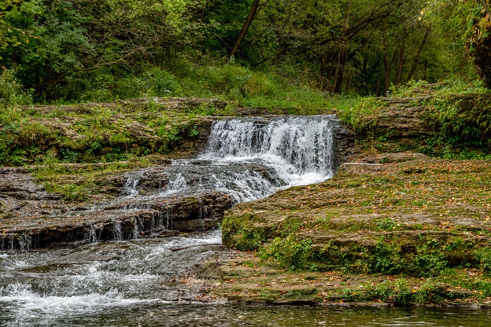 Nature Grass Landscape - Free photo on Pixabay