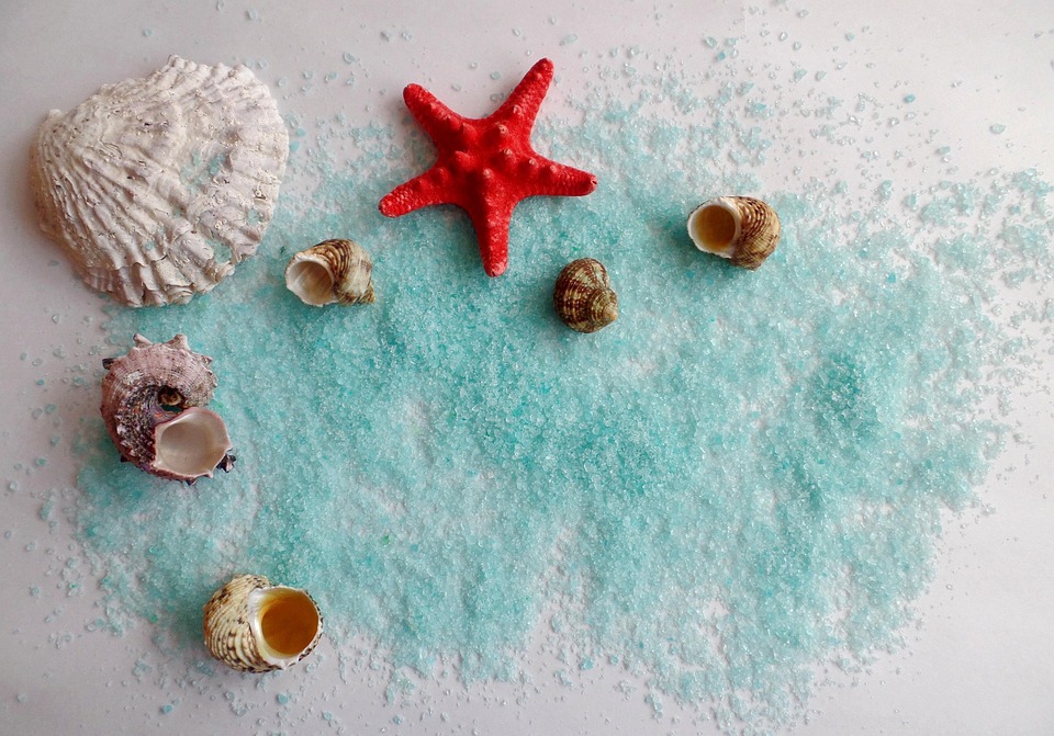 Shell Sea Beach - Free photo on Pixabay