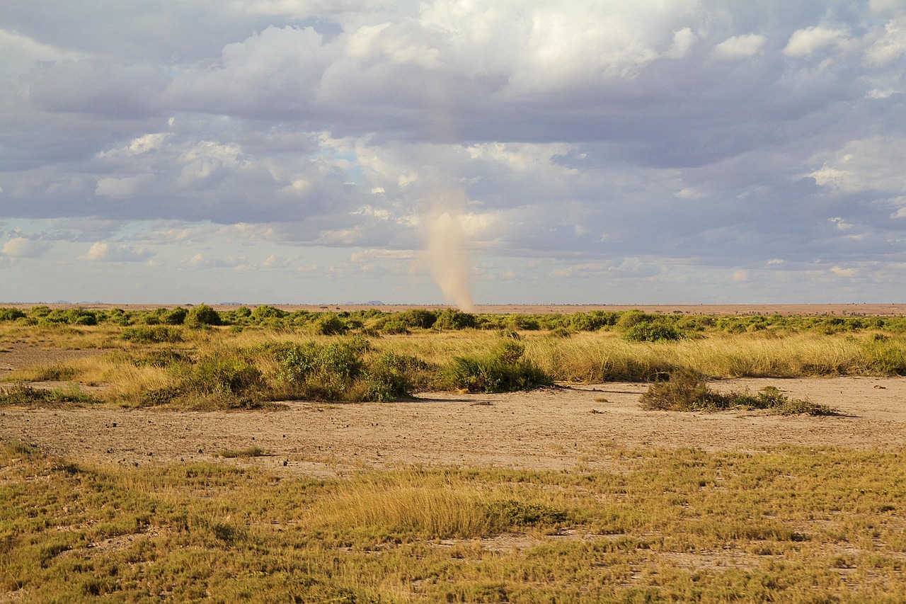 400,000+ Free Steppe Flowers & Steppe Photos - Pixabay