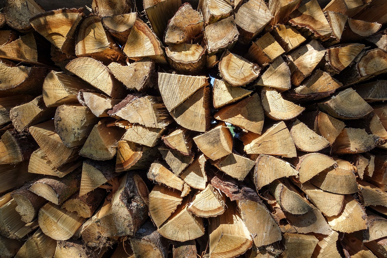 Tumpukan Kayu Bakar Hutan - Foto gratis di Pixabay - Pixabay