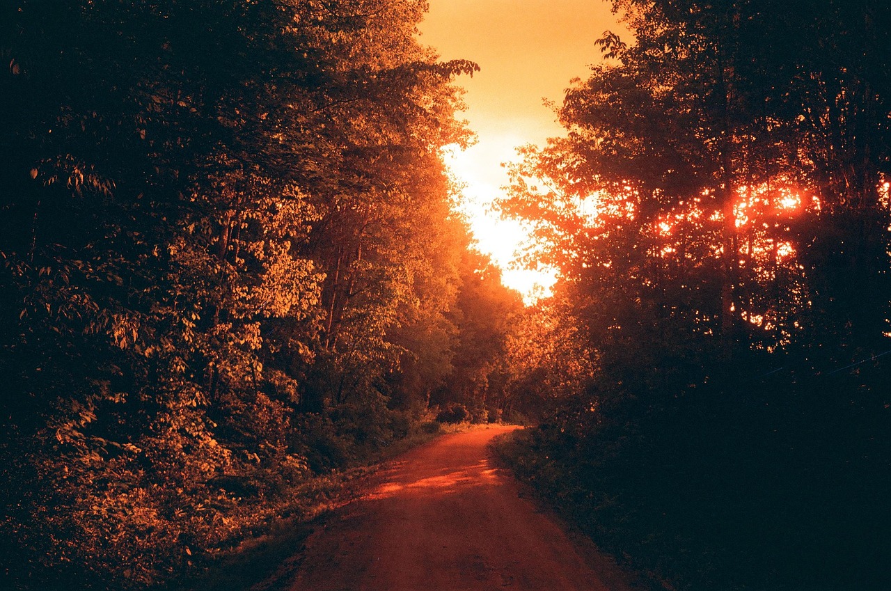 Trail Light Sun - Free photo on Pixabay
