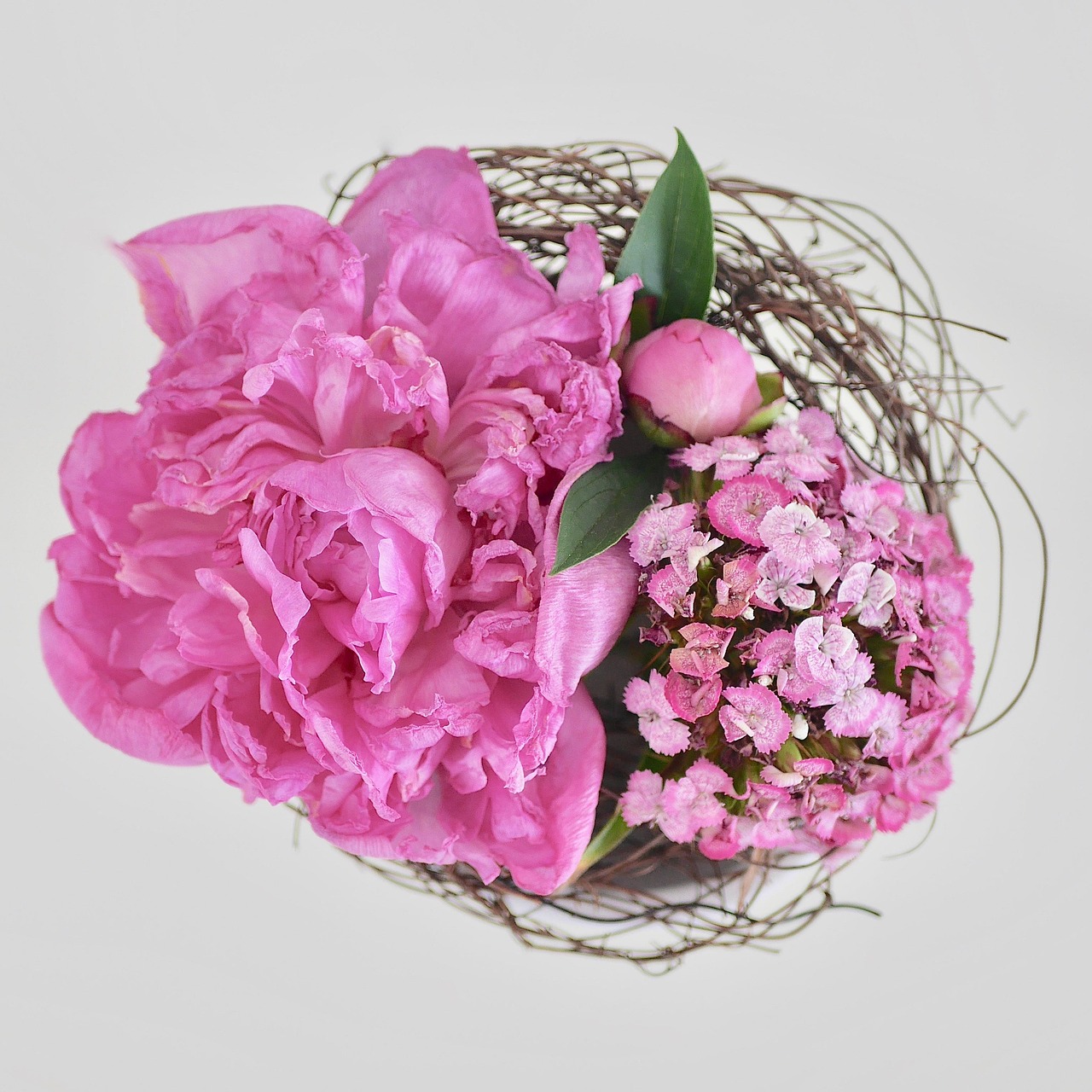 Blomma Topshot Blomning - Gratis foto på Pixabay - Pixabay