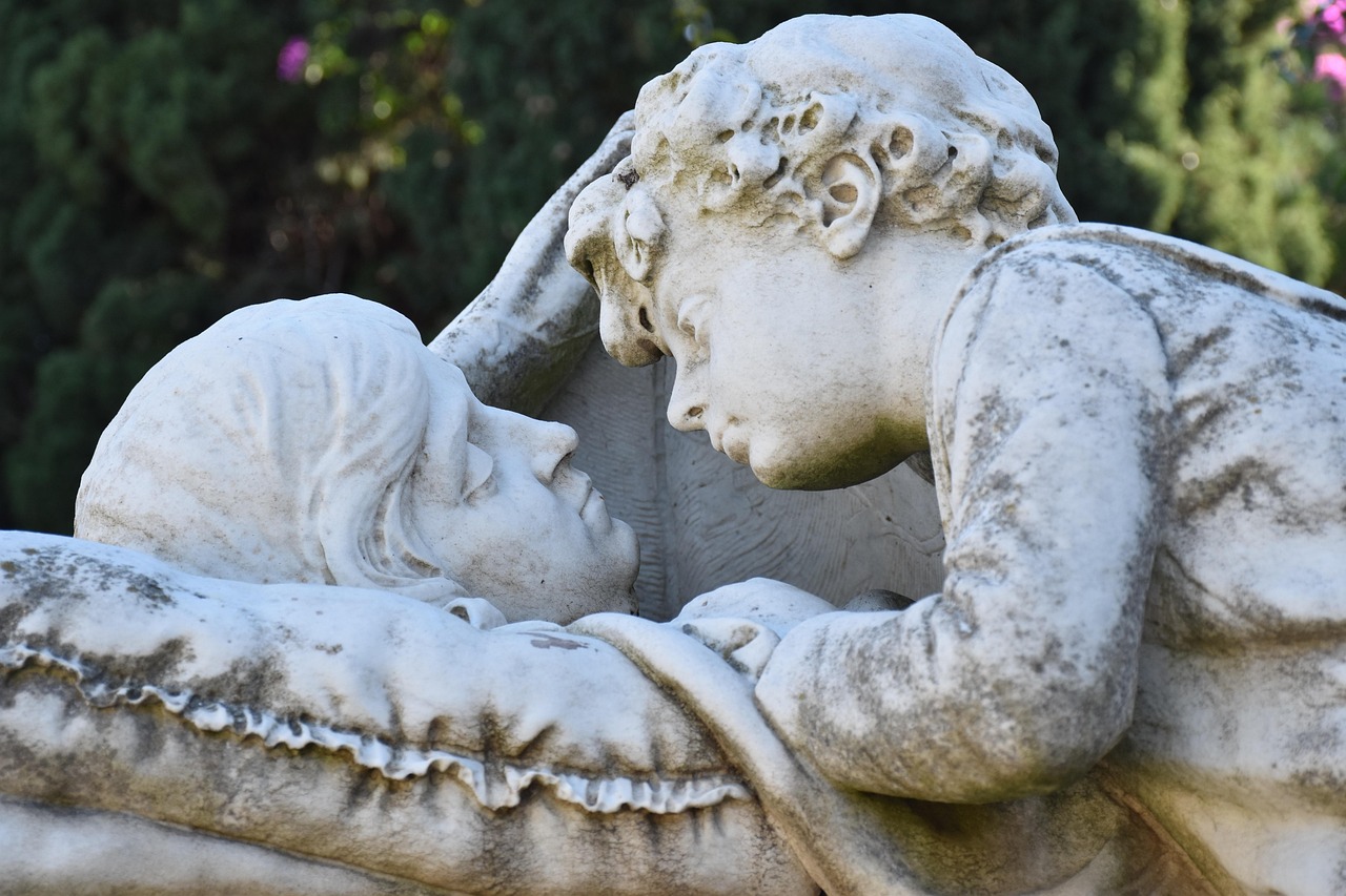 10,000+ Free End Of Life & Life Images - Pixabay
