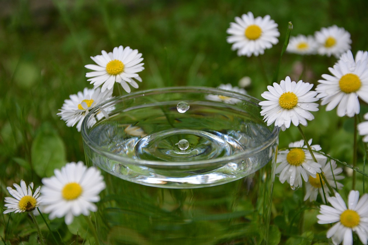 200,000+ Free Water-Drop & Nature Images - Pixabay