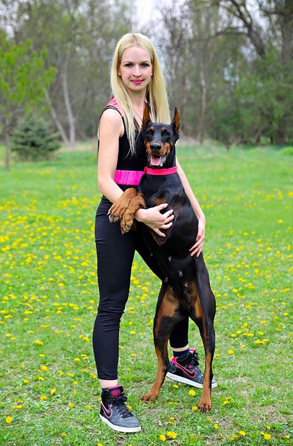 Blonde Woman Doberman Love - Free photo on Pixabay - Pixabay