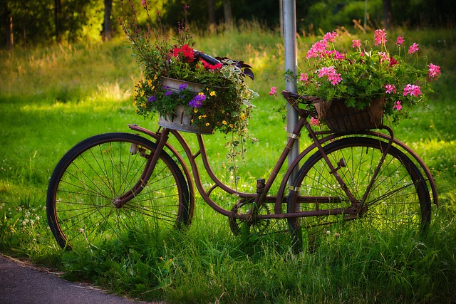 Bicycle Rust Old - Free photo on Pixabay
