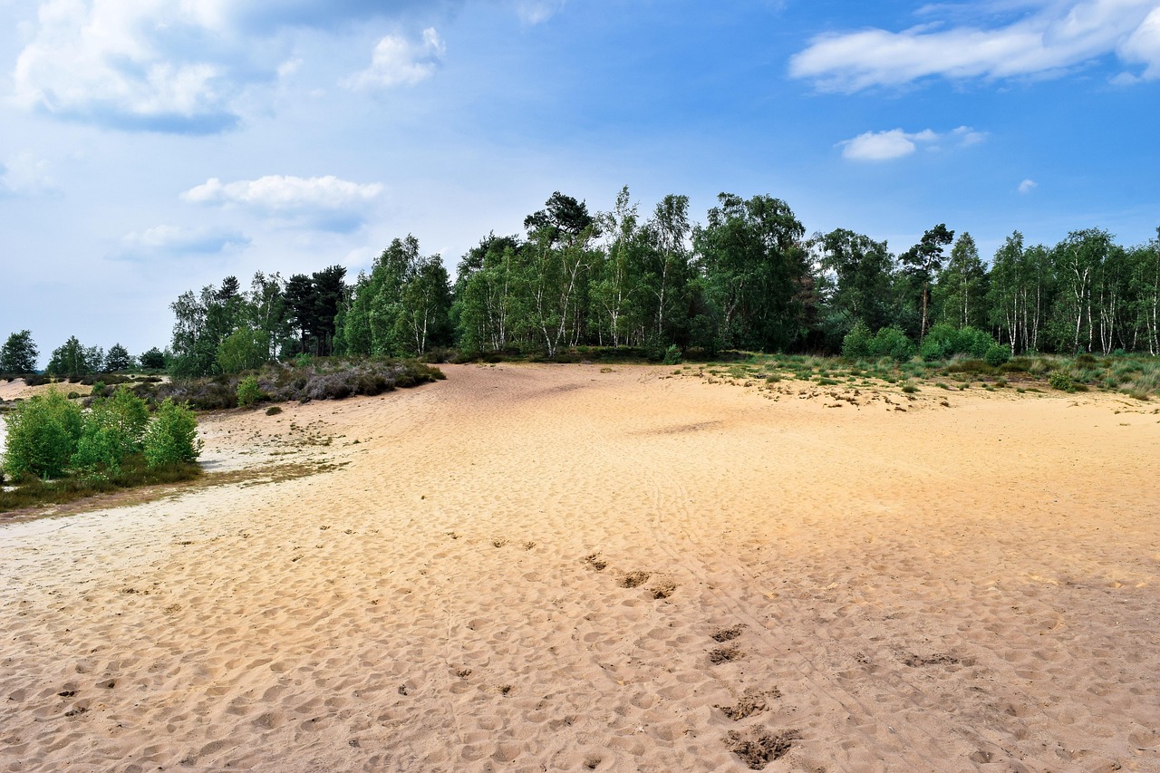 Landscape Sand Dunes Shifting - Free photo on Pixabay - Pixabay