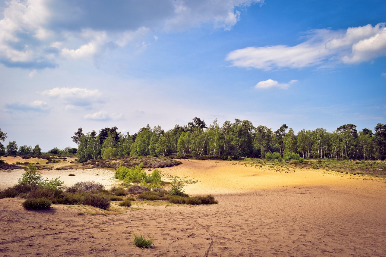 Landscape Sand Dunes Shifting - Free photo on Pixabay - Pixabay