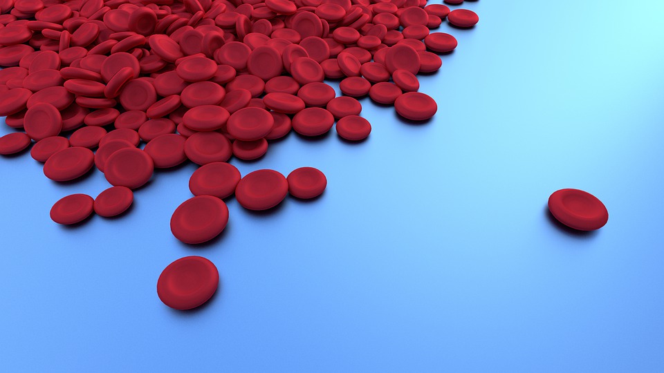 Download Red Blood Cell, Science, Vessel. Royalty-Free Stock ...