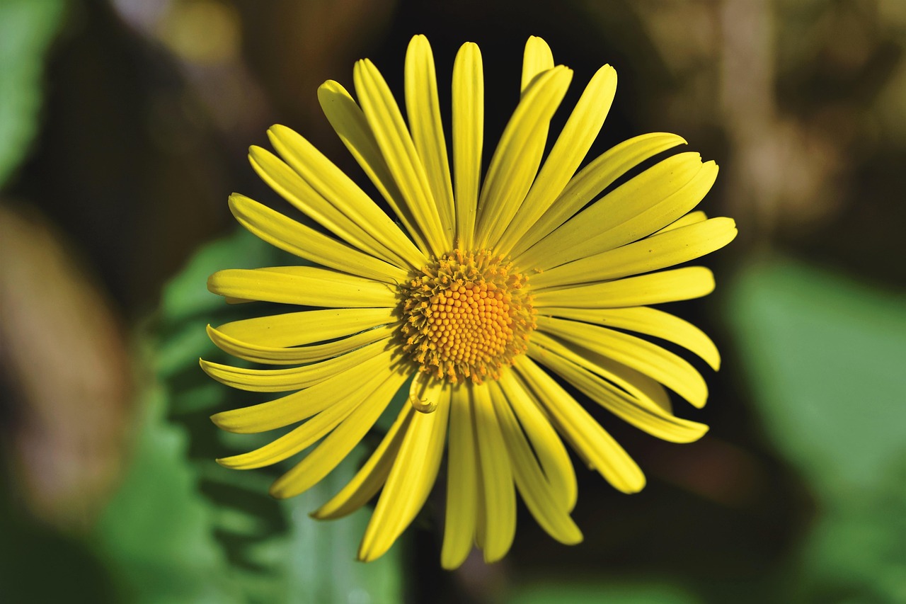 600+ Free Balkan & Nature Images - Pixabay