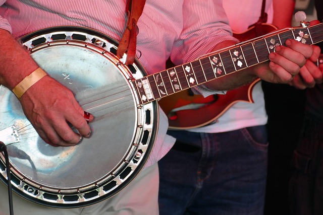 Banjo Music Musical Instrument - Free photo on Pixabay - Pixabay