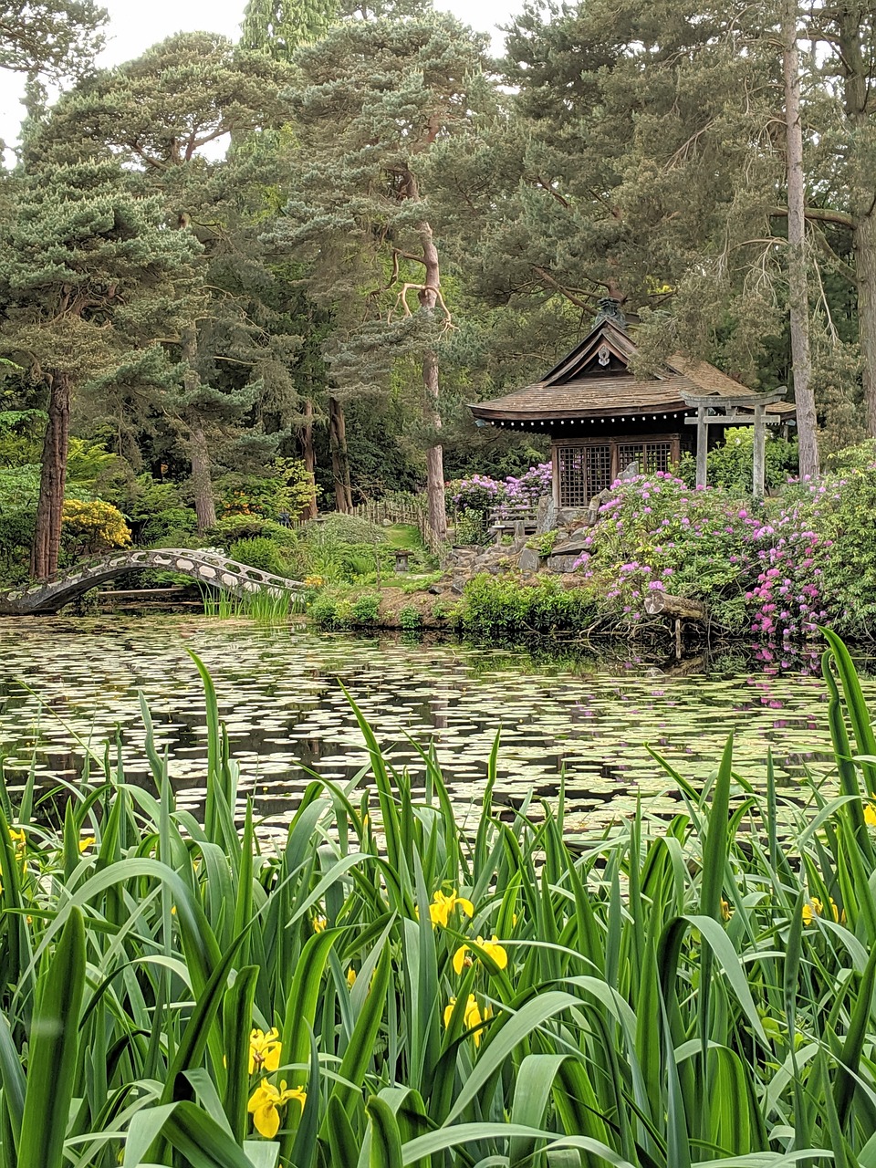 Japanese Garden Shinto - Free photo on Pixabay