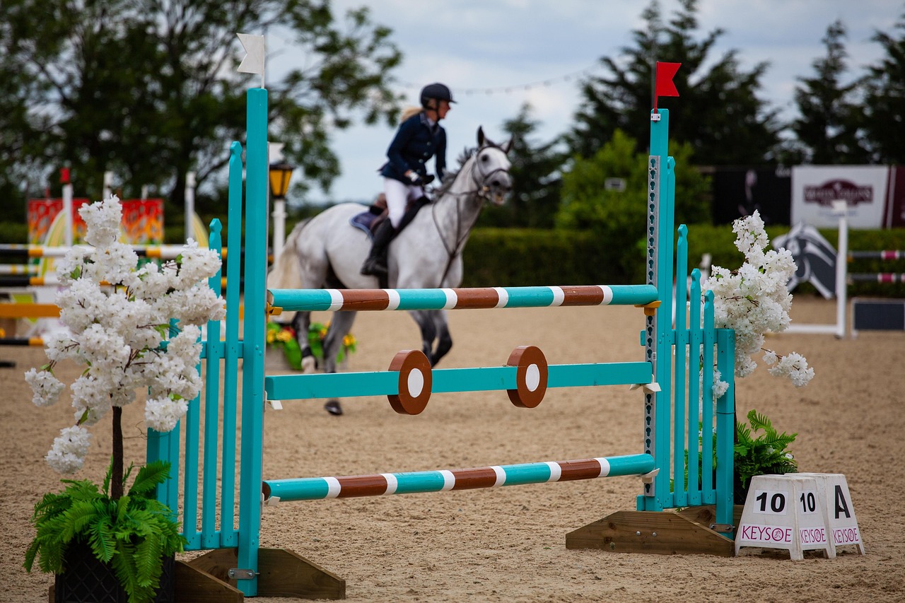 Cavallo Che Salta