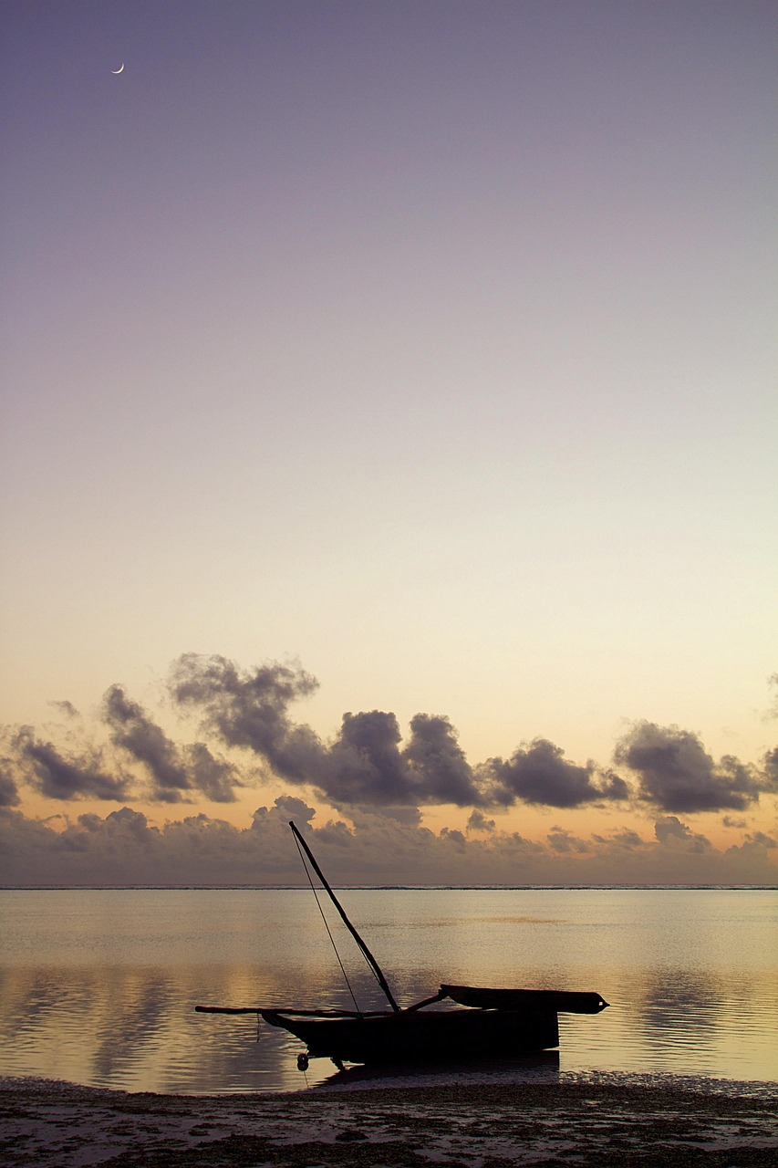 Tanzania Zanzibar Africa - Free photo on Pixabay