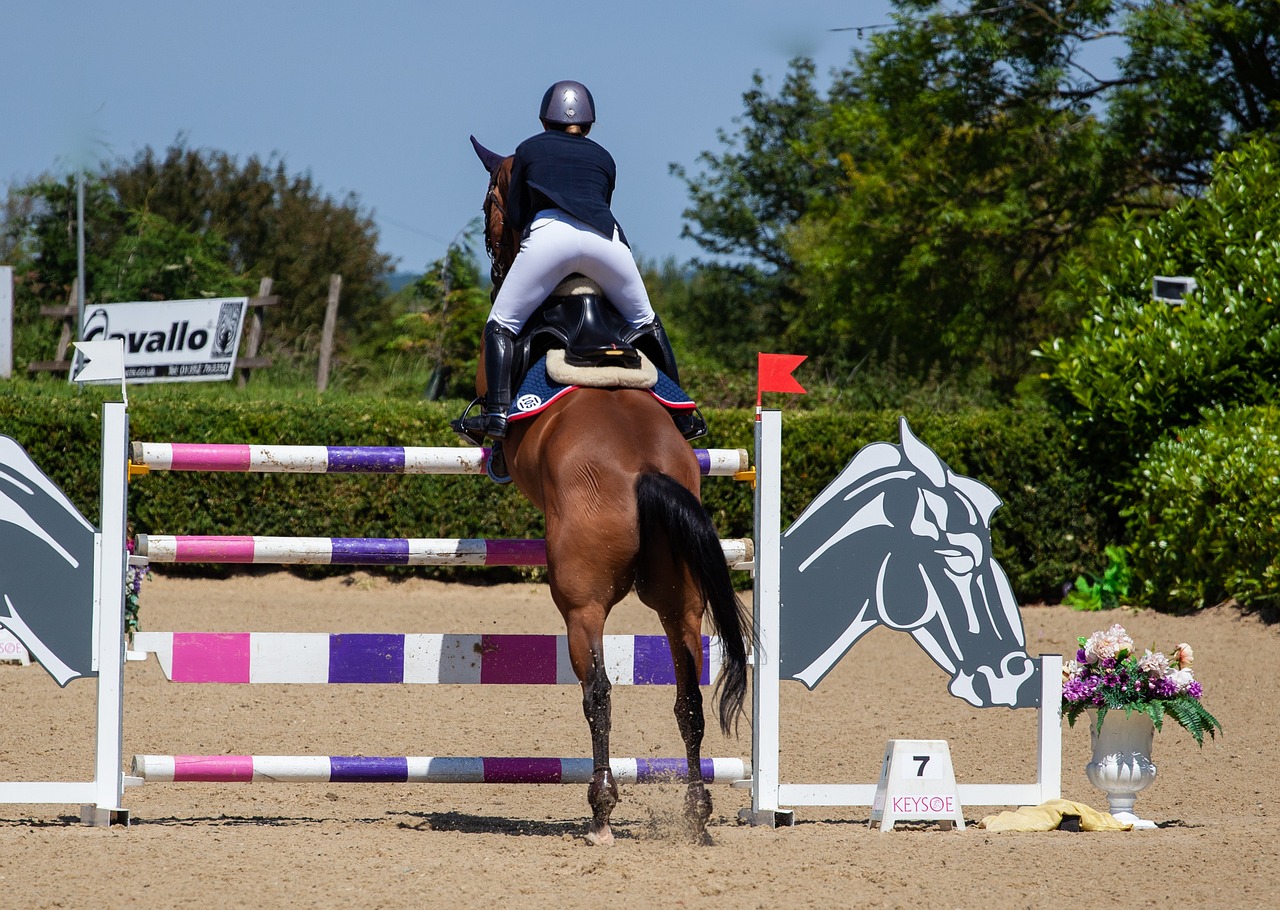 Cavallo Che Salta