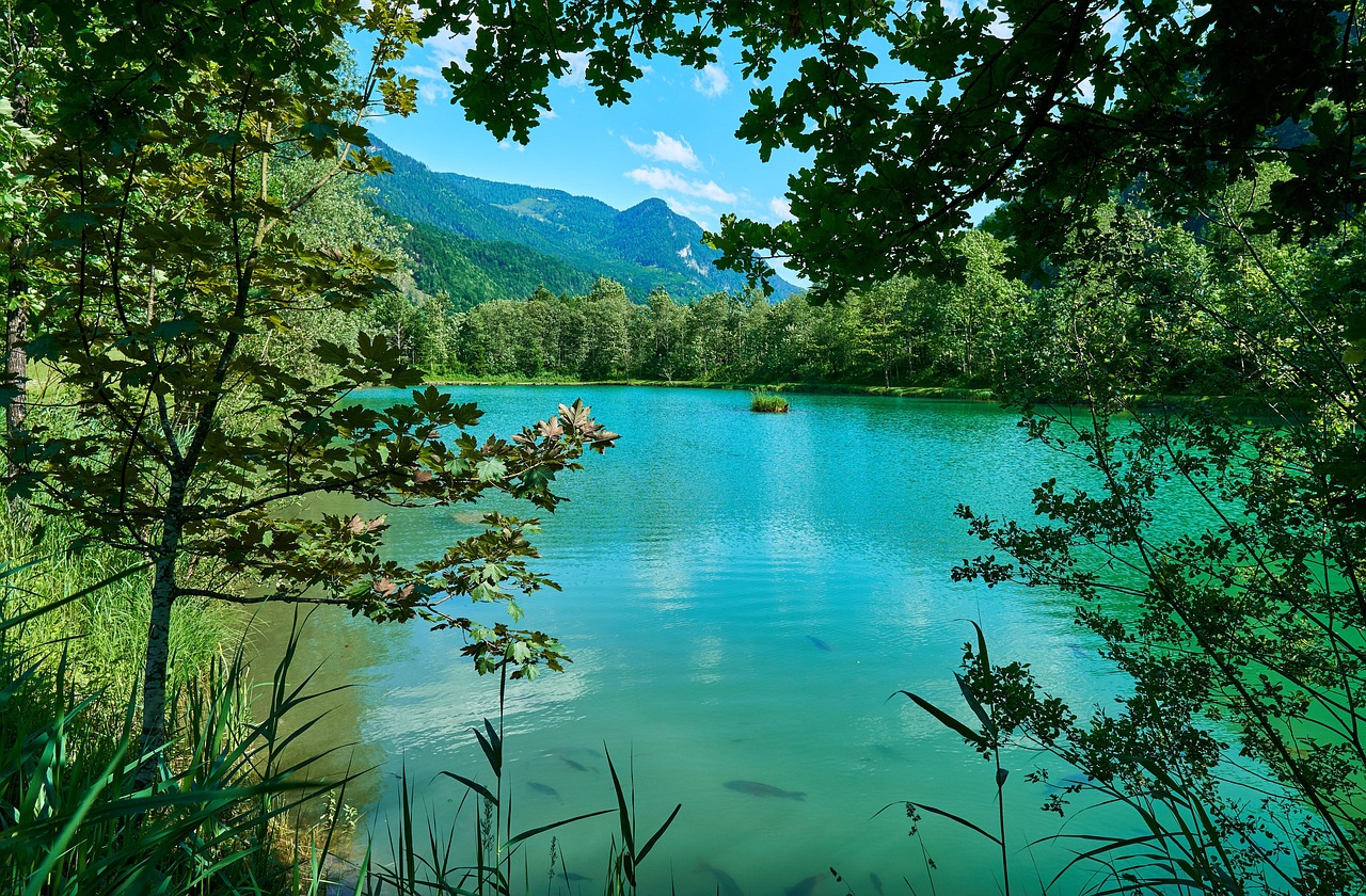Lake Pond Mountains - Free photo on Pixabay - Pixabay