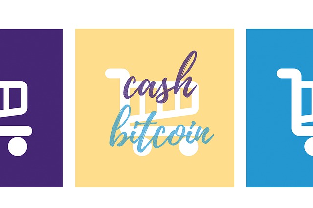 Bitcoin Shopping Online - Free image on Pixabay