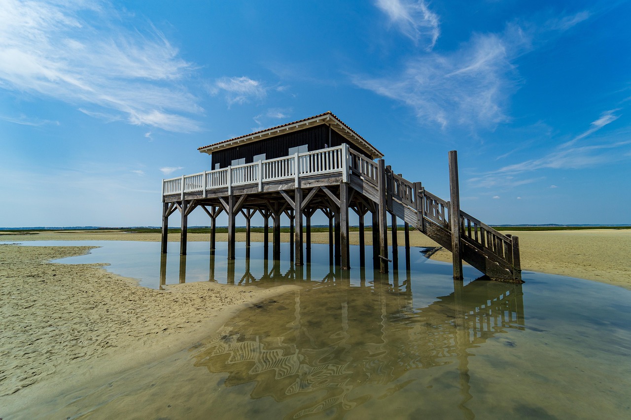 Plus de 50 photos gratuites de Arcachon et de Bassin Arcachon - Pixabay