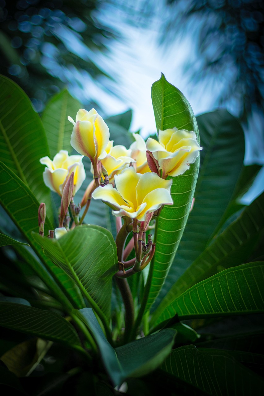 Bunga Buket Seikat Merah - Foto gratis di Pixabay - Pixabay