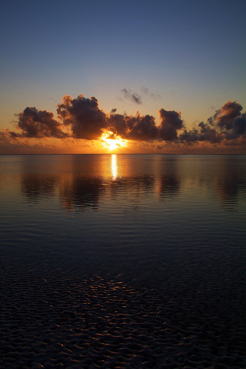 100+ Free Zanzibar Beach & Zanzibar Images - Pixabay