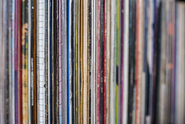 30+ Free Vinyl Collection & Vinyl Images - Pixabay