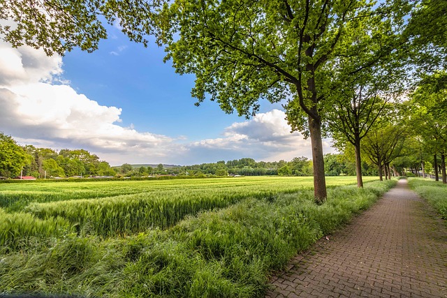 Chemin De Terre Rural Paysage La - Photo gratuite sur Pixabay - Pixabay