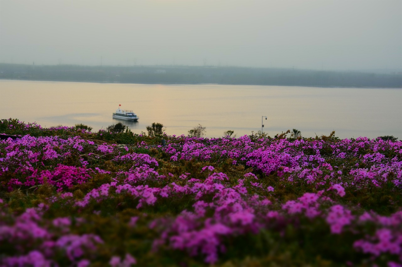 超过 40000 张关于“Cargo Ship Heading To Horizon Sunrise”和“自然”的免费图片 - Pixabay