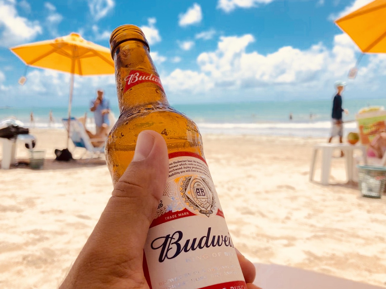 Beer Bud Alcohol - Free photo on Pixabay - Pixabay