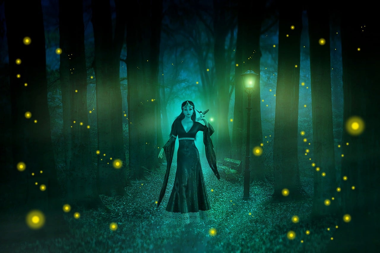 200+ Free Fireflies & Firefly Images - Pixabay