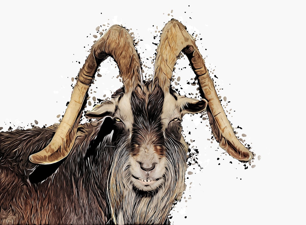 50,000+ Free Goat Cartoon & Goat Images - Pixabay