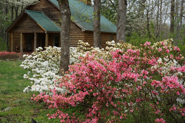 Cabin Smoky Mountains Spring - Free photo on Pixabay - Pixabay