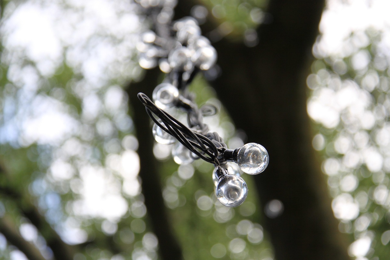 Fairy Lights Tree Light - Free photo on Pixabay - Pixabay