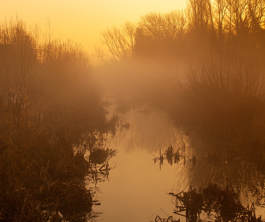Misty River Riverbank - Free photo on Pixabay