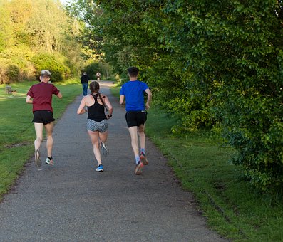 Mais de 10 imagens grátis de Correr No Parque e Árvore - Pixabay