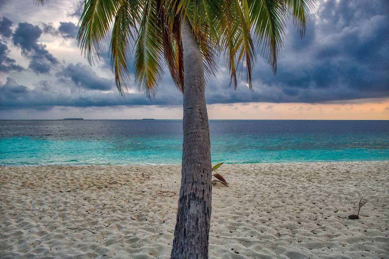 Paysage Océan Plage Le Coucher Du - Photo gratuite sur Pixabay - Pixabay