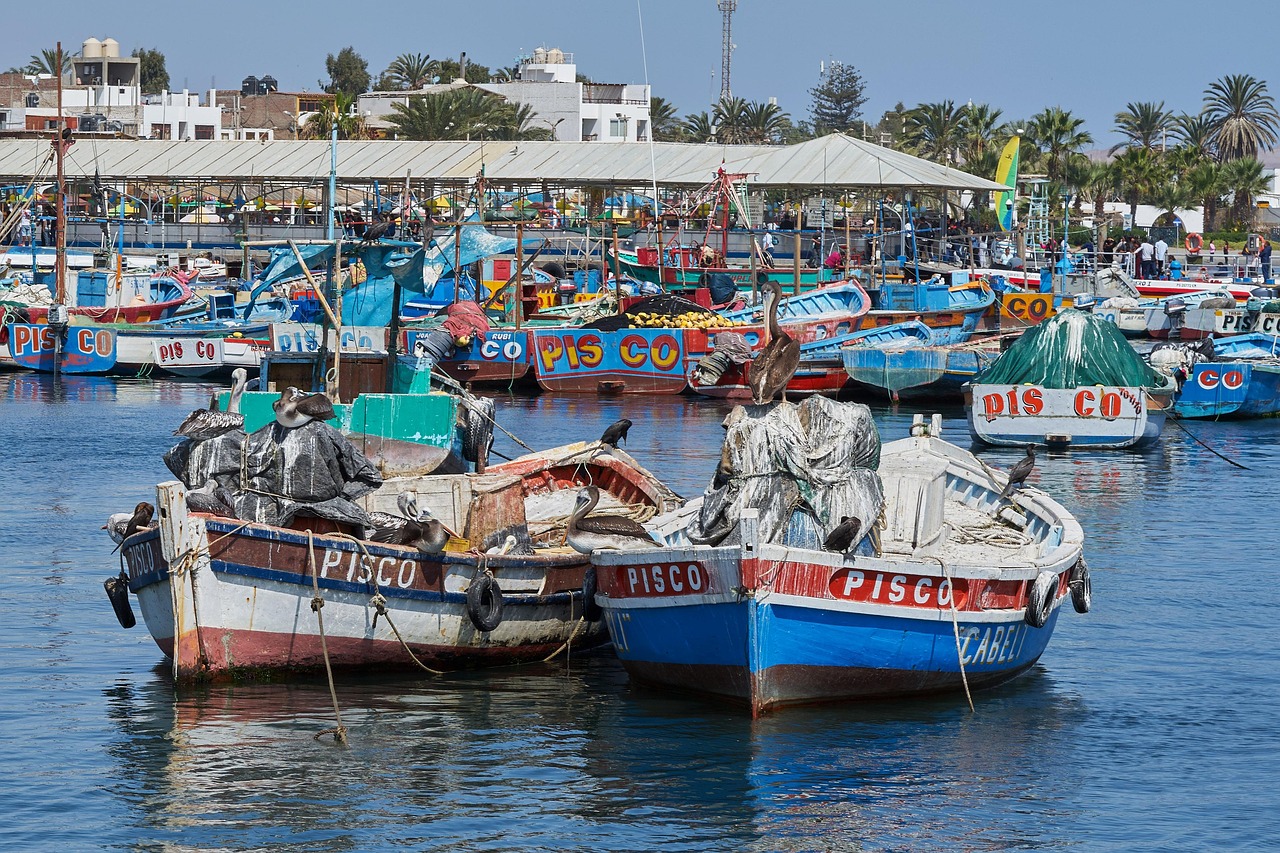 Botes Pesqueros Pisco Muelle - Foto gratis en Pixabay - Pixabay