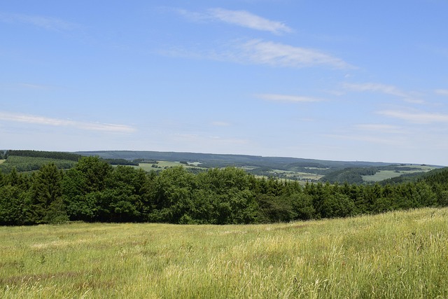 Eifel Landscape Nature - Free photo on Pixabay - Pixabay