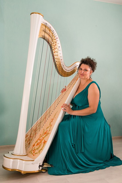 Harp Harpist Musician - Free photo on Pixabay - Pixabay