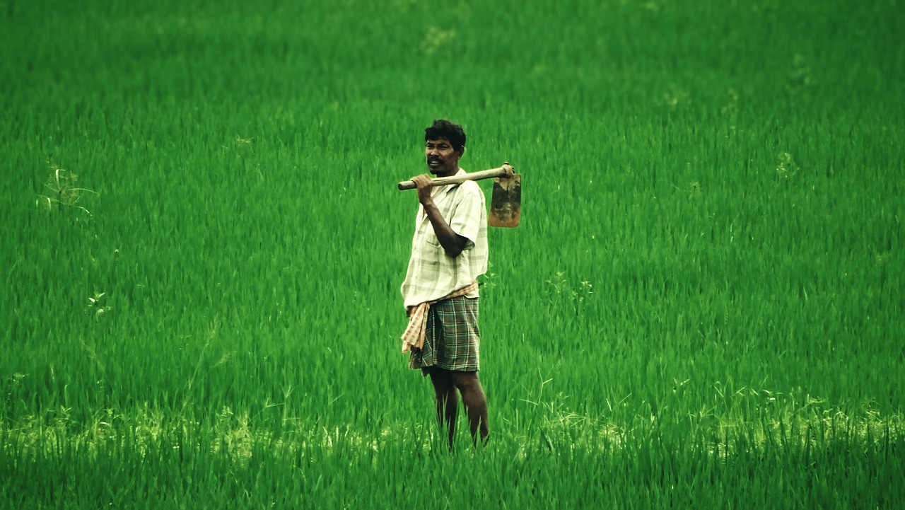 70+ Free Indian Farmer & Farmer Images - Pixabay