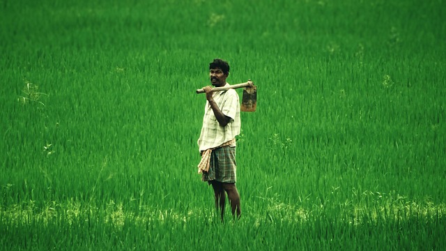 Farmer Farm Man - Free photo on Pixabay - Pixabay