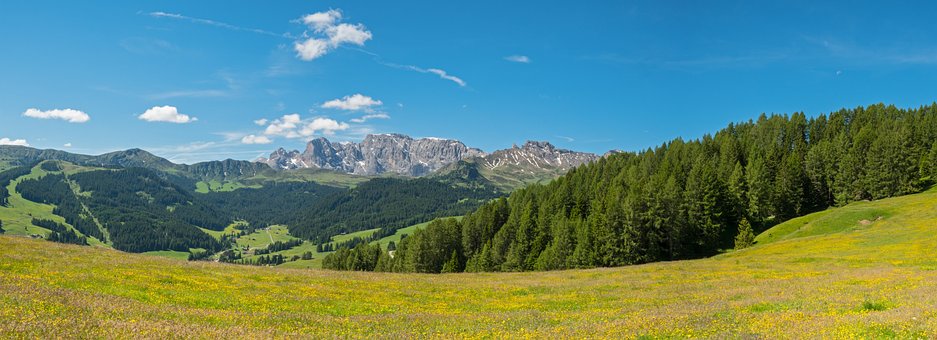 400+ kostenlose Bergwiese & Natur Fotos - Pixabay