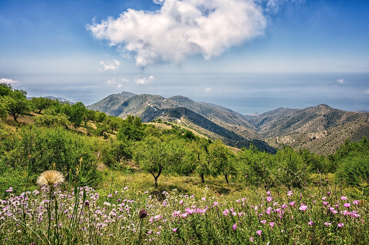 Más de 300 000 imágenes gratis de Andalucía Paisaje y Andalucía - Pixabay