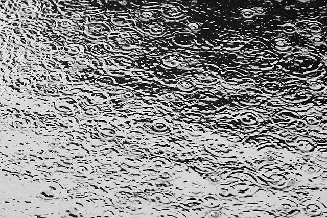 Raindrops Are Falling Rain Began - Free photo on Pixabay