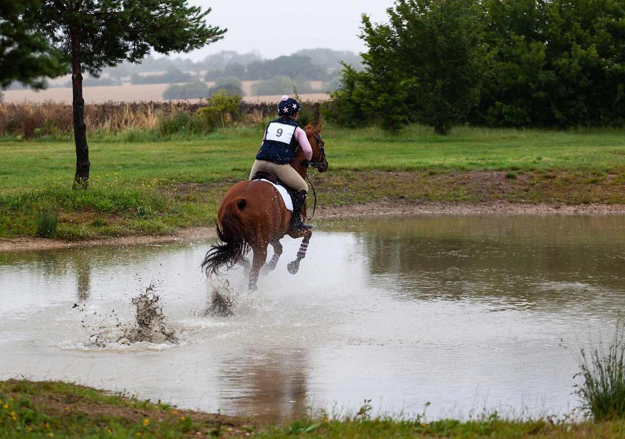 Kuda Gallop Melalui Air - Foto gratis di Pixabay - Pixabay