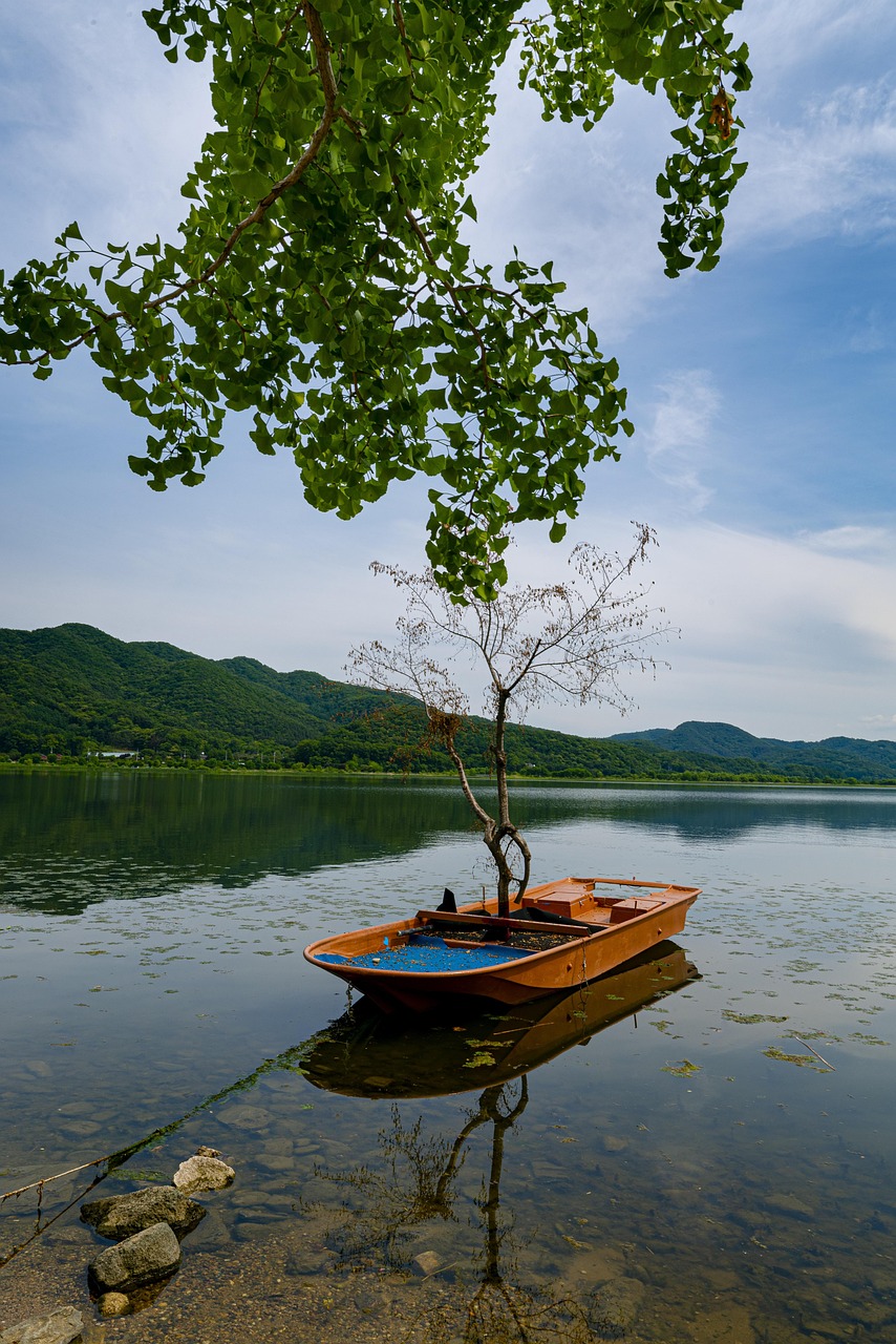 Double Head Yangpyeong Lake - Free photo on Pixabay - Pixabay